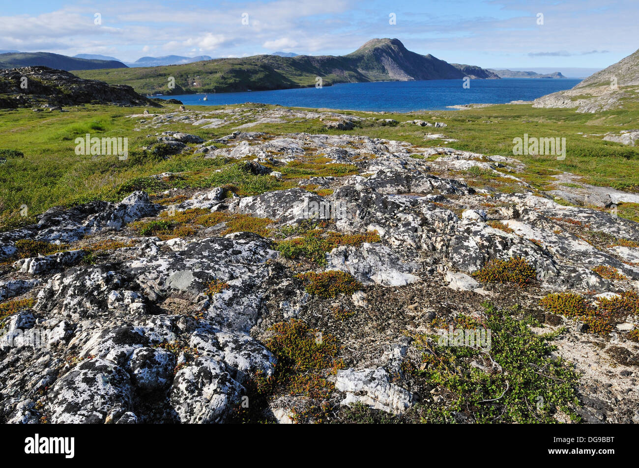 Barren tundra hi-res stock photography and images - Alamy