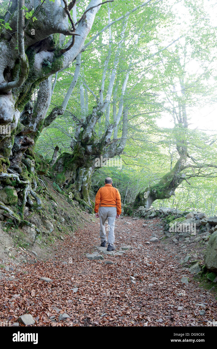 Redes Natural Park, Route Tabayón of Mongallu, Case, Asturias, Spain ...