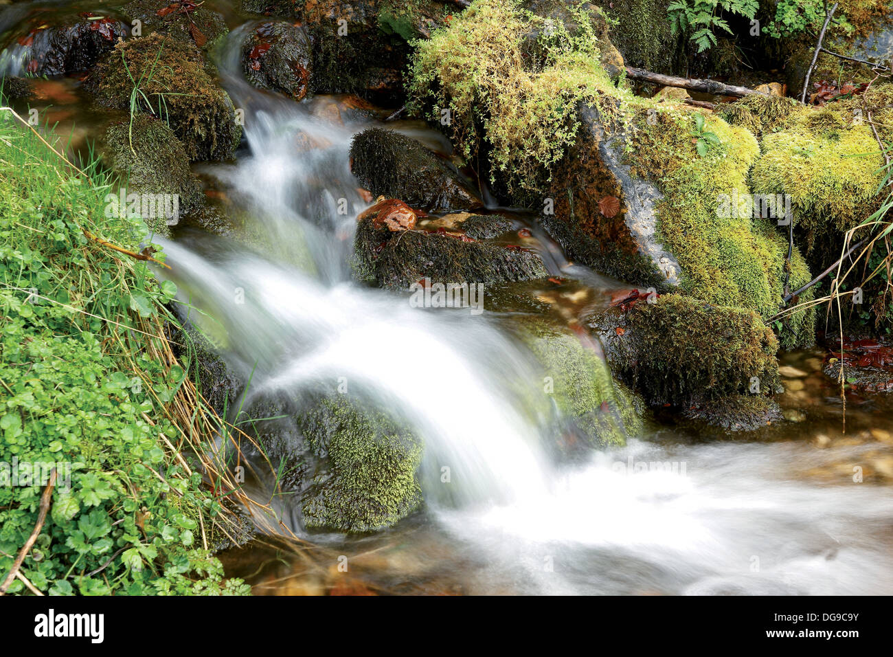 Redes Natural Park, Route Tabayón of Mongallu, Case, Asturias, Spain ...