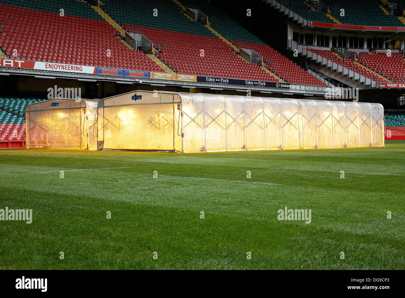 Inside the Principality Stadium with grass growing tents in operation ...