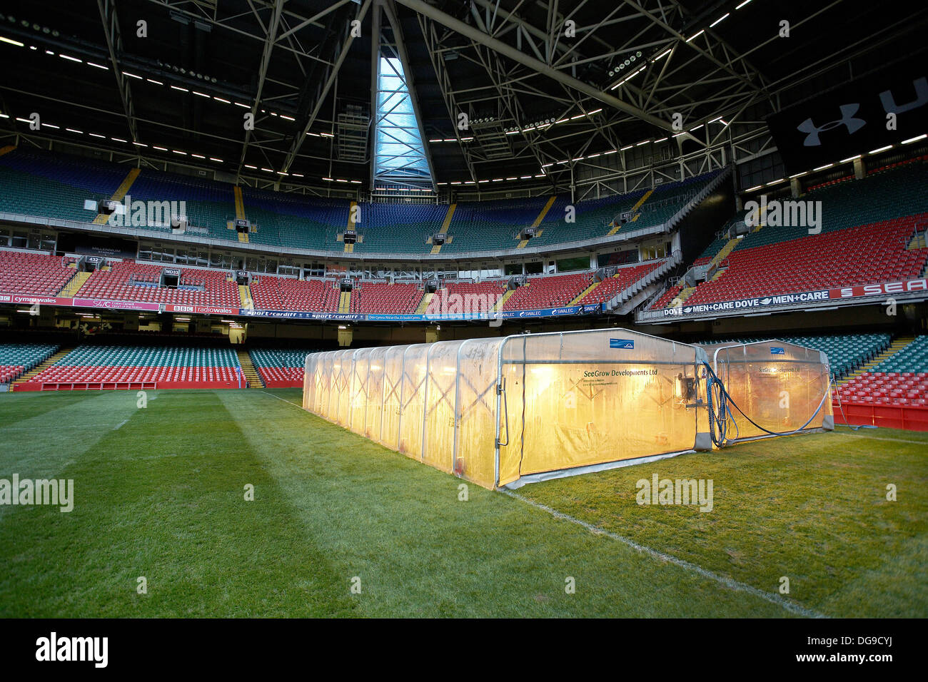 Inside the Principality Stadium with grass growing tents in operation ...