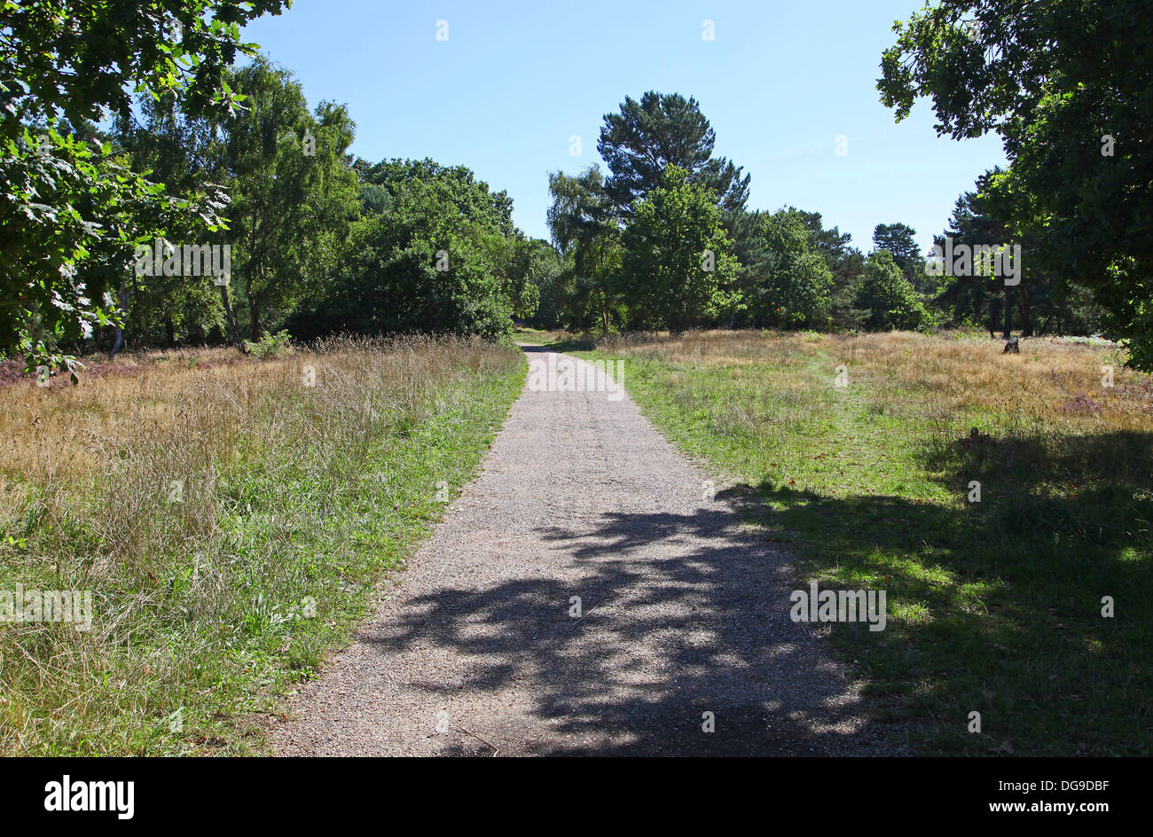 Addington hills hi-res stock photography and images - Alamy