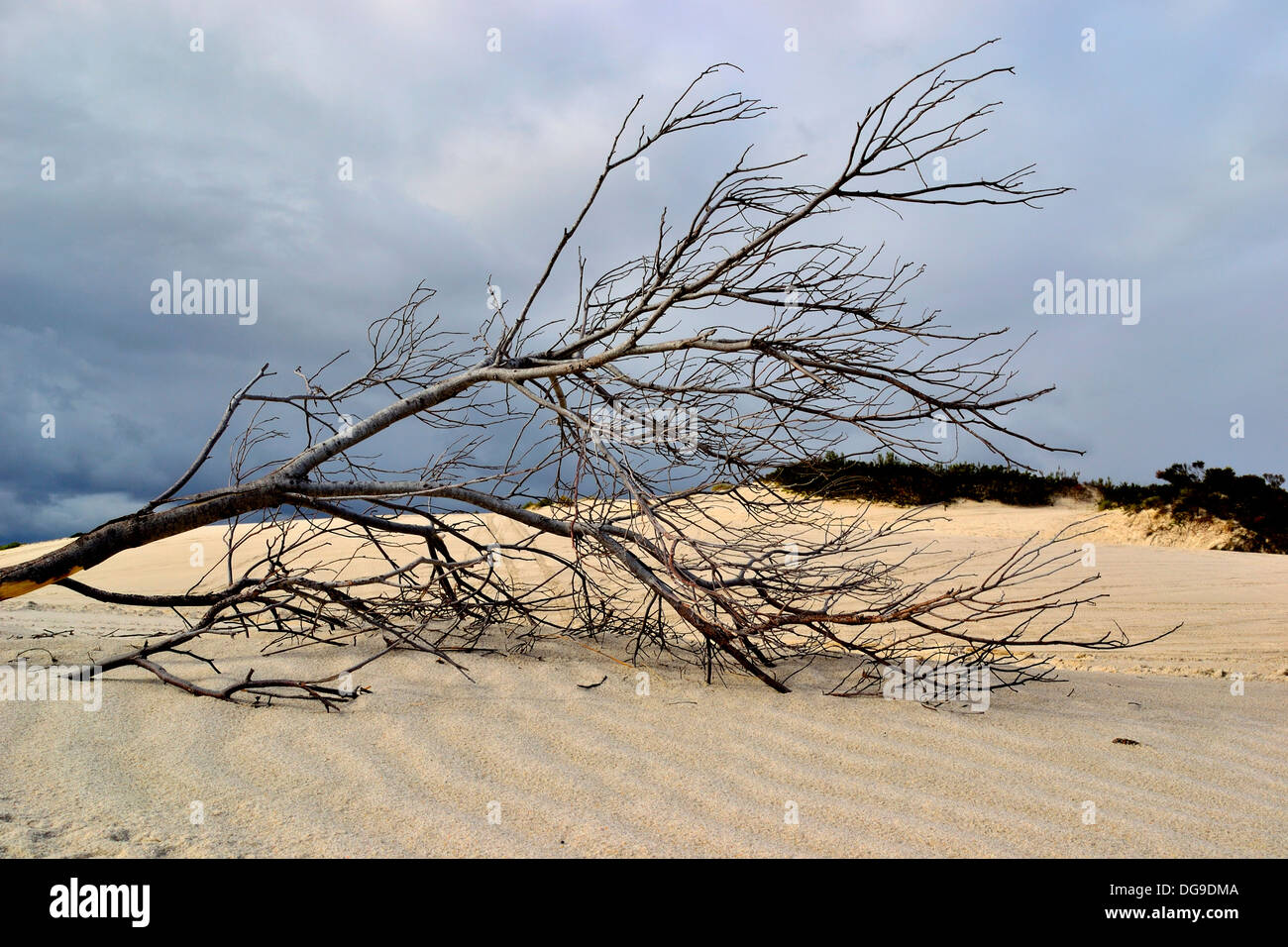 Atlantis dunes hi-res stock photography and images - Alamy