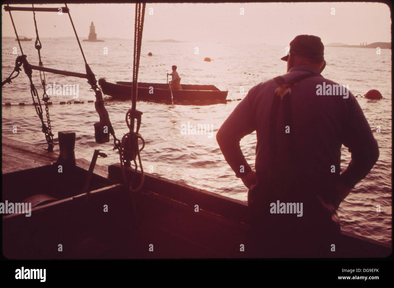 A fisherman inspects the traps set between April and May, targeting ...