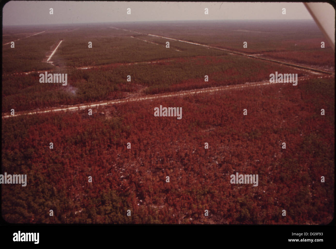 Wildfire fire florida everglades national hi-res stock photography and ...