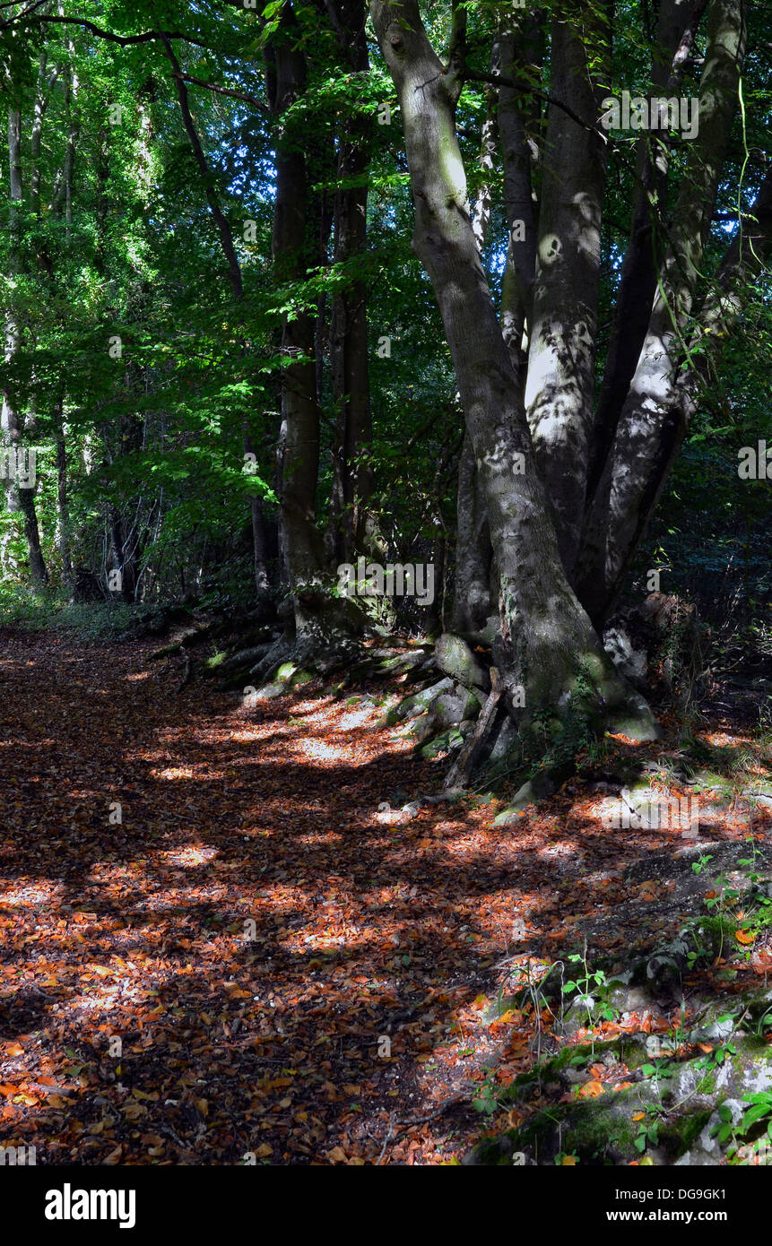 Winchester farley mount country park hi-res stock photography and ...