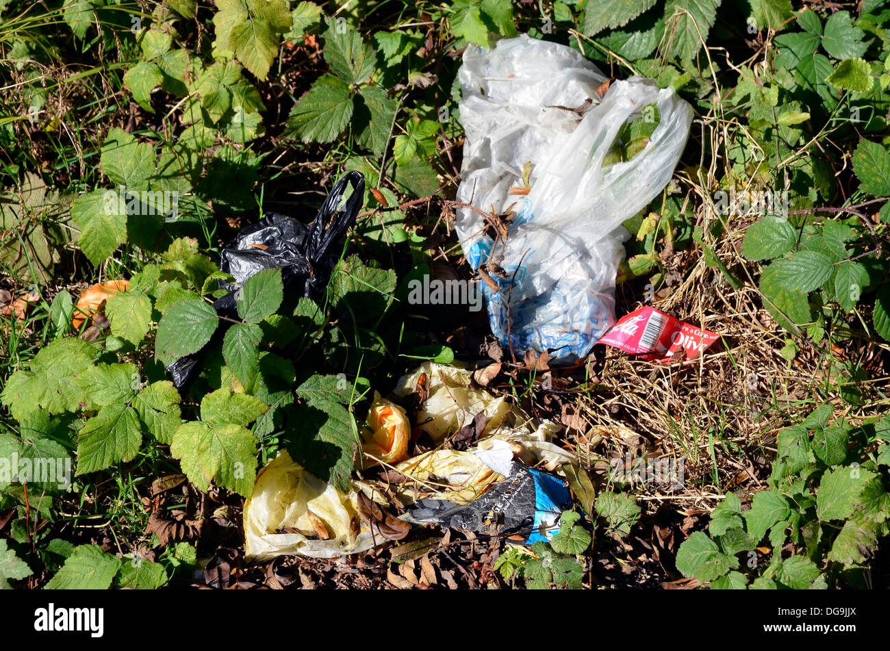 Rubbish, litter and dog waste bags dumped in undergrowth at a rural ...
