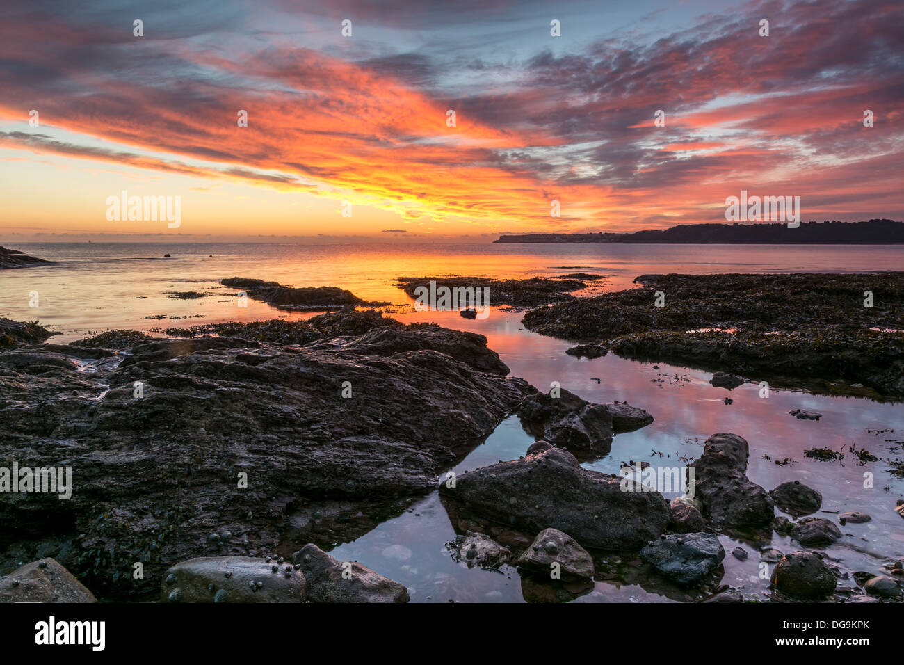 The saltern cove hi-res stock photography and images - Alamy