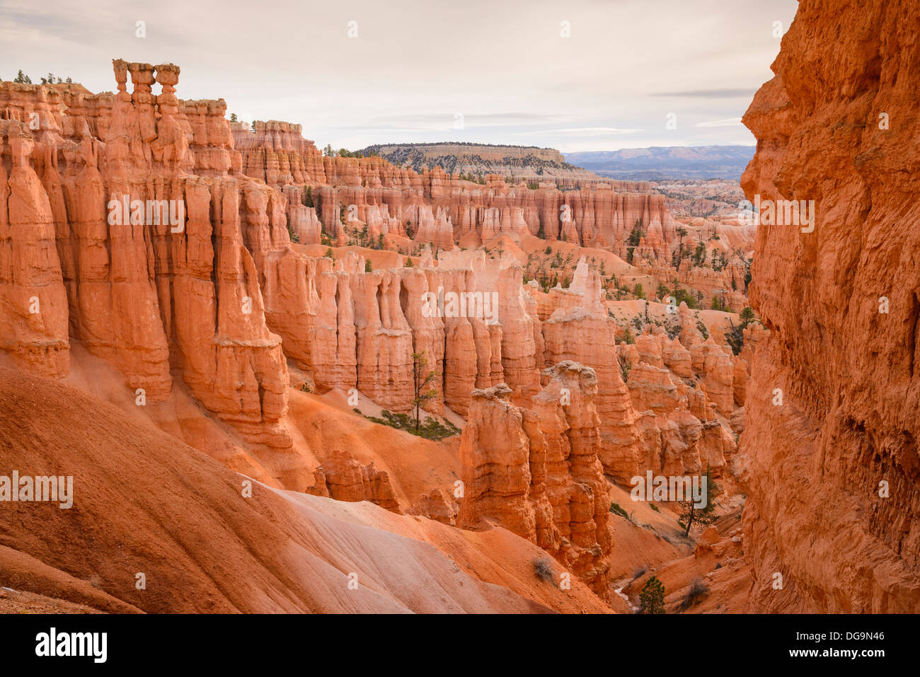 Bryce Canyon, Navajo Loop Trail, Bryce Canyon National Park, Utah, USA ...