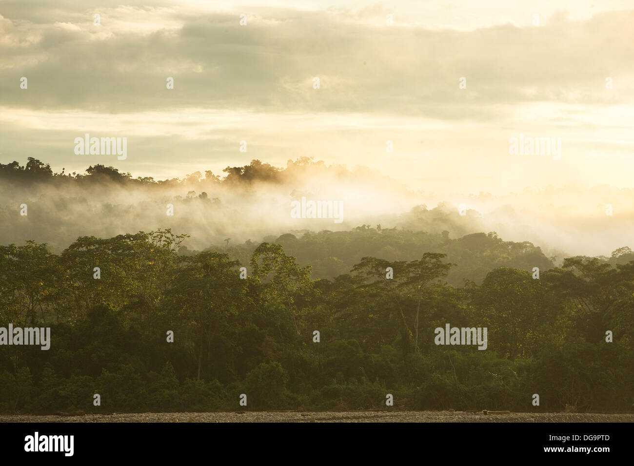 Manu National Park, Peru Stock Photo - Alamy