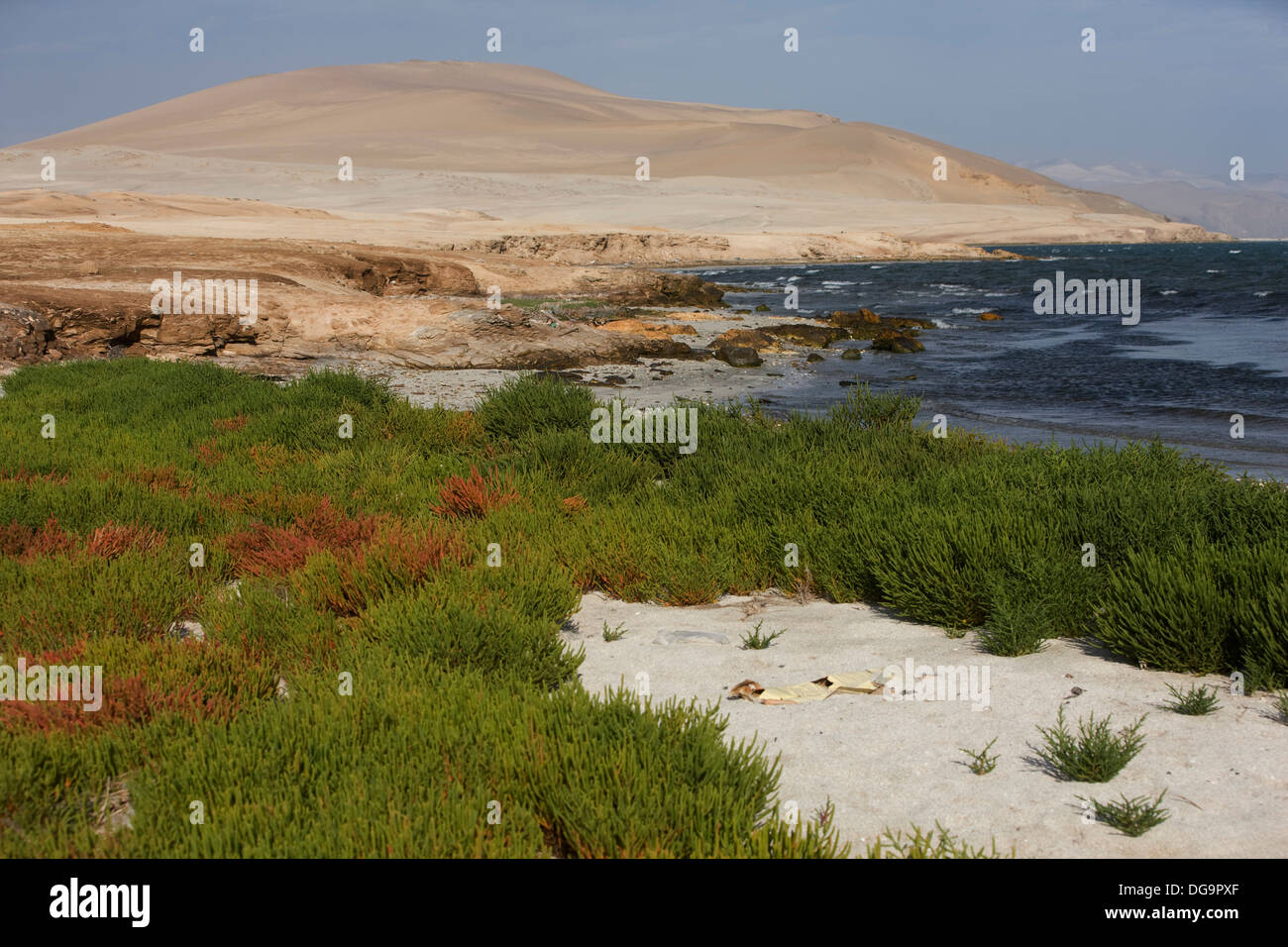 Paracas National Reserve, Peru Stock Photo - Alamy