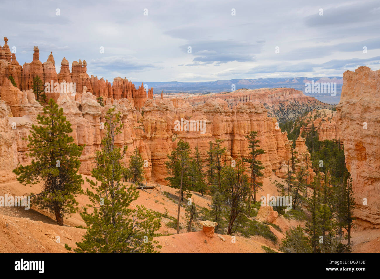 Boo windows hi-res stock photography and images - Alamy