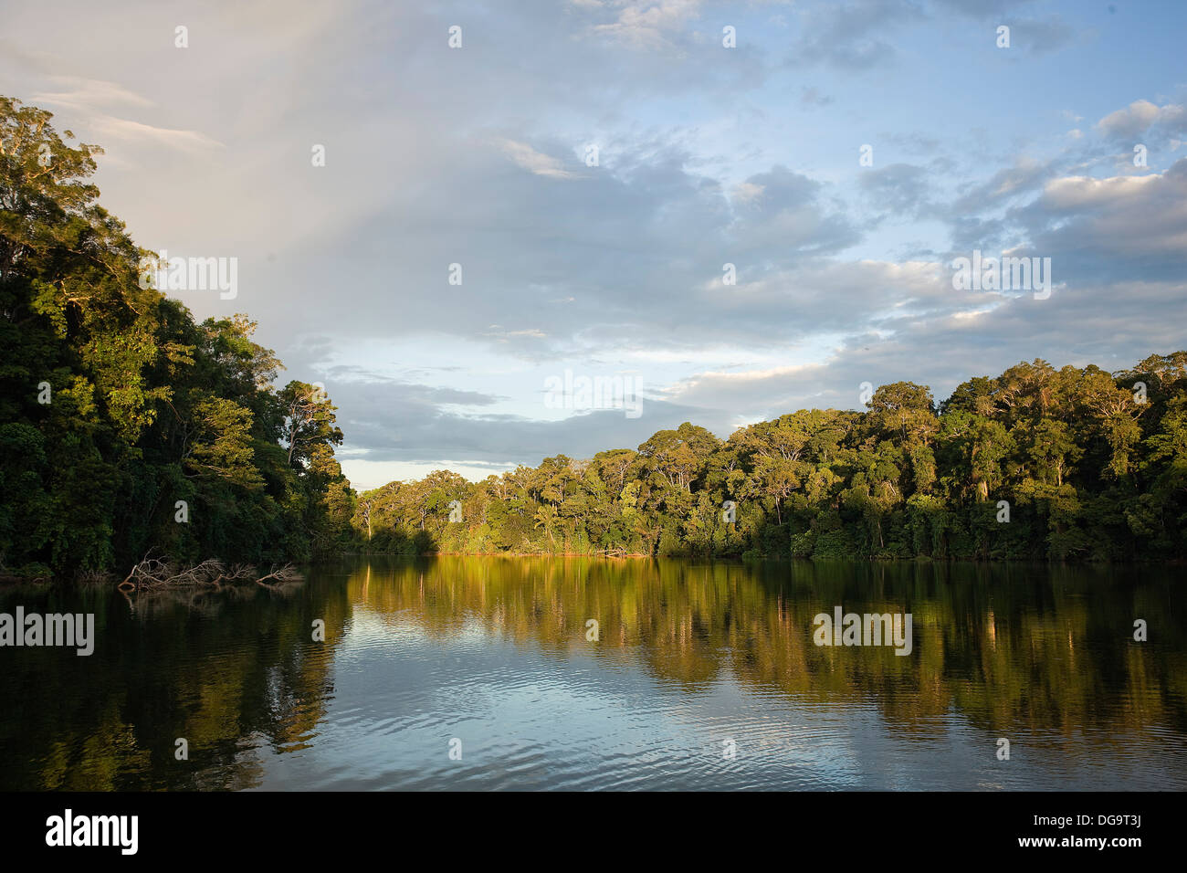 Manu National Park, Peru Stock Photo - Alamy