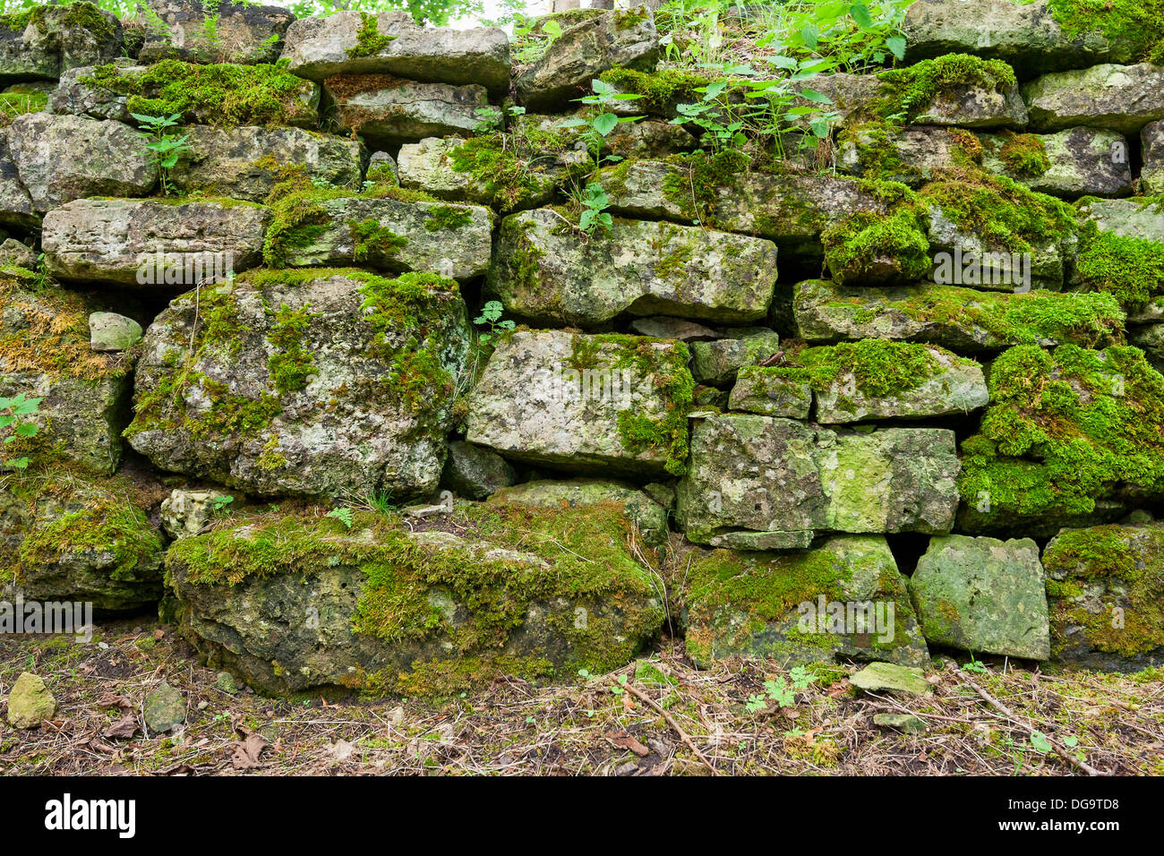 Mossy boundary hi-res stock photography and images - Alamy
