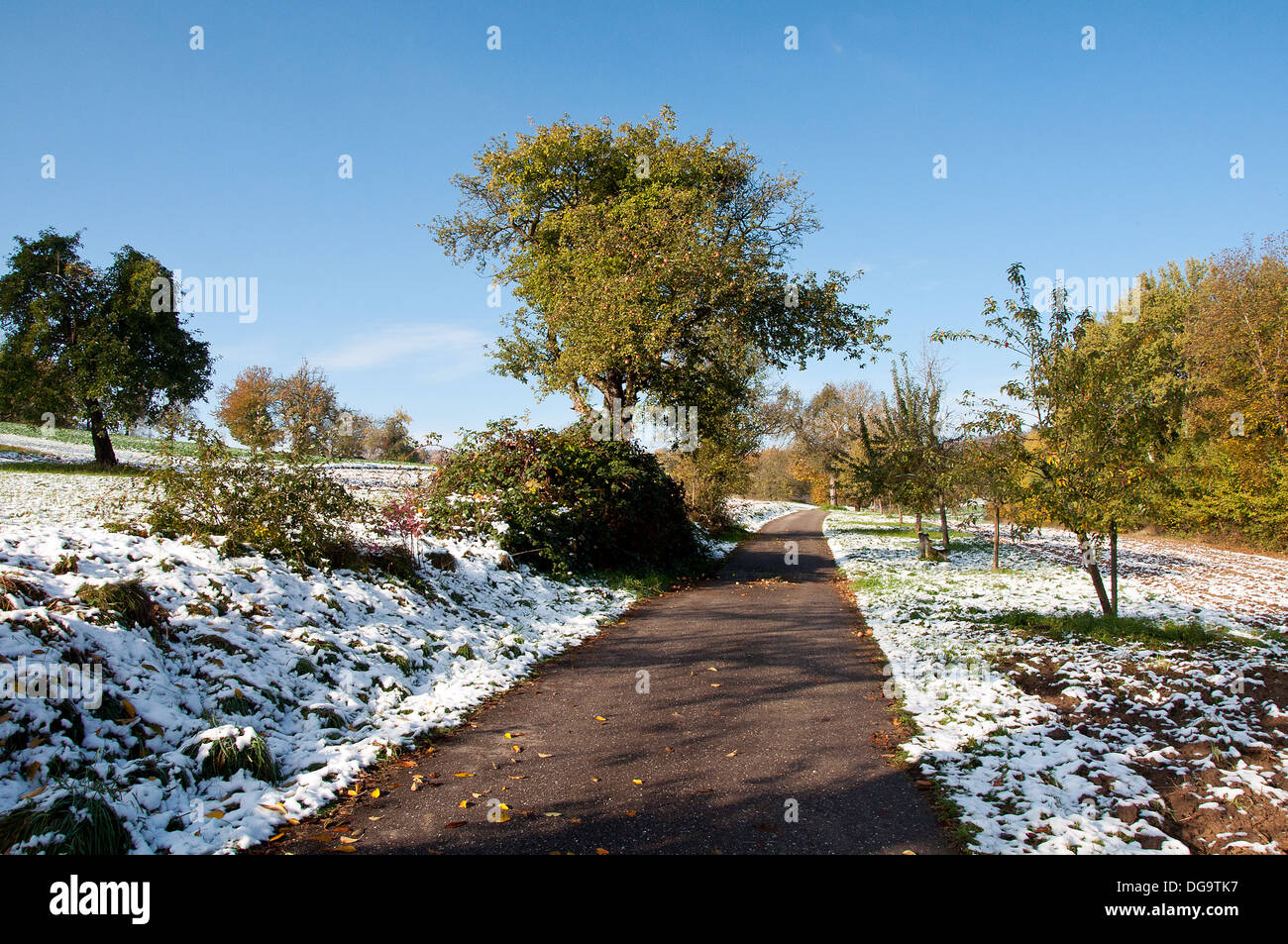 First early snow hi-res stock photography and images - Alamy