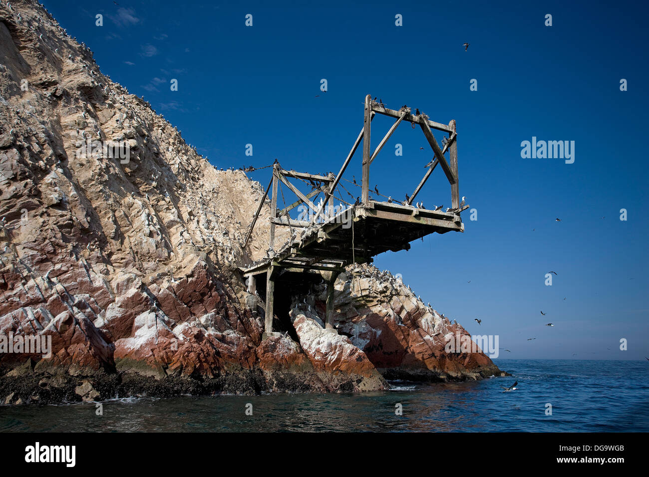 Paracas National Reserve, Peru Stock Photo - Alamy