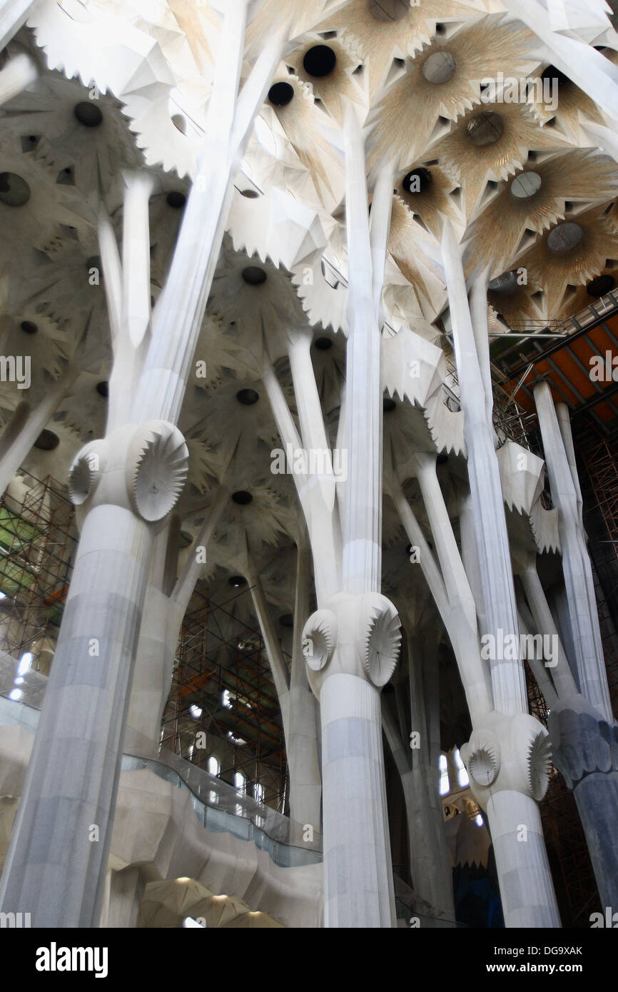 Columns of the Sagrada Familia temple by Gaudí, Barcelona. Catalonia ...
