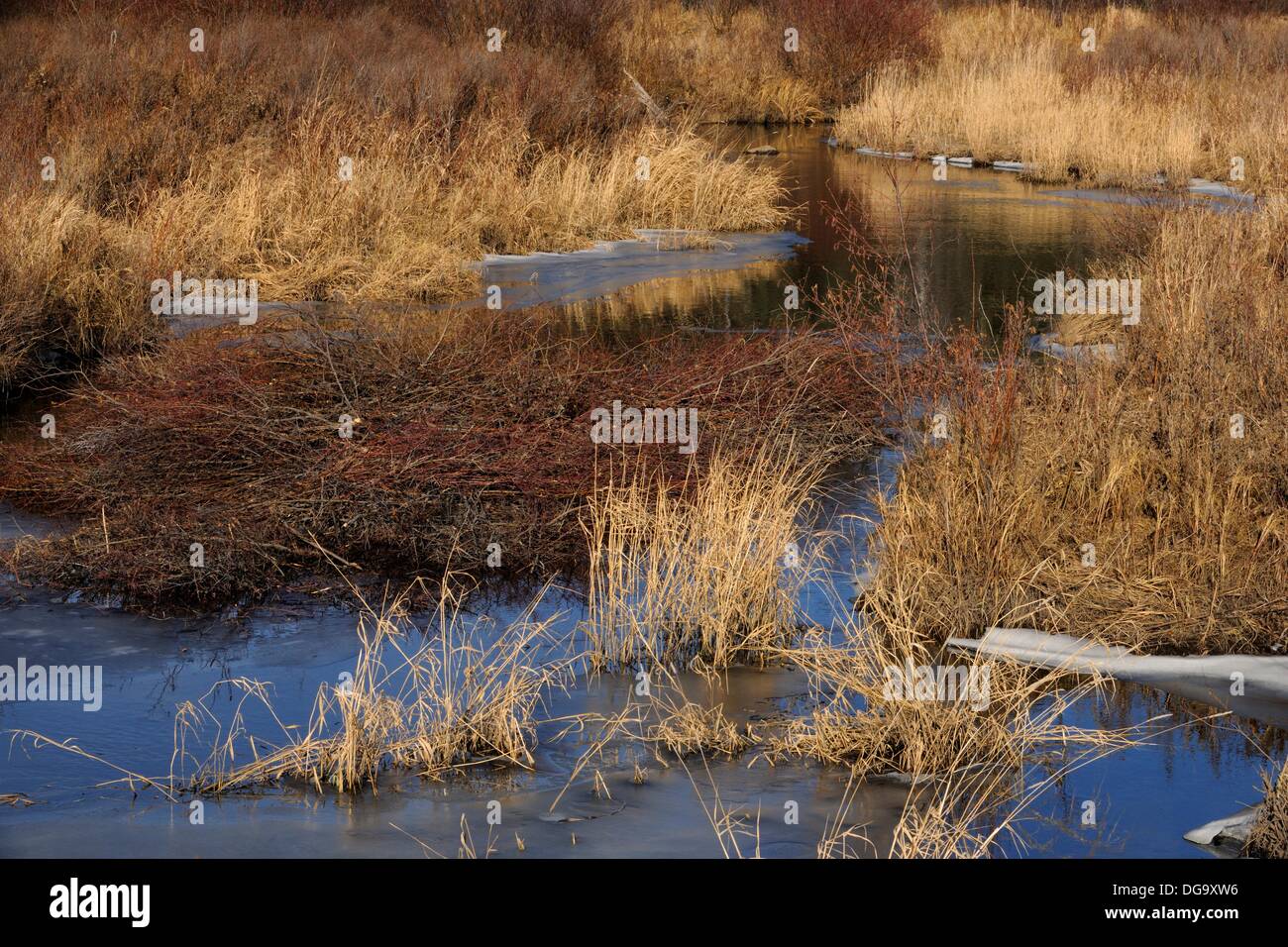 Whirlpool plant hi-res stock photography and images - Alamy