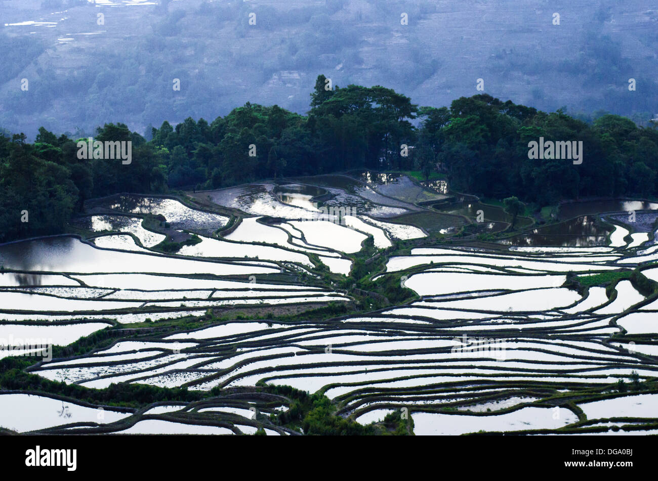 Yuanyang rice terraces hi-res stock photography and images - Alamy