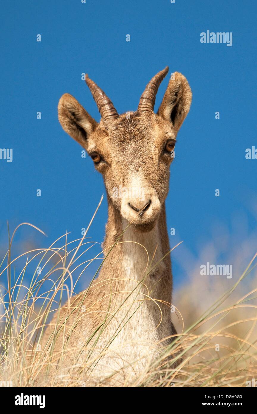 Orientacion vertical hi-res stock photography and images - Alamy