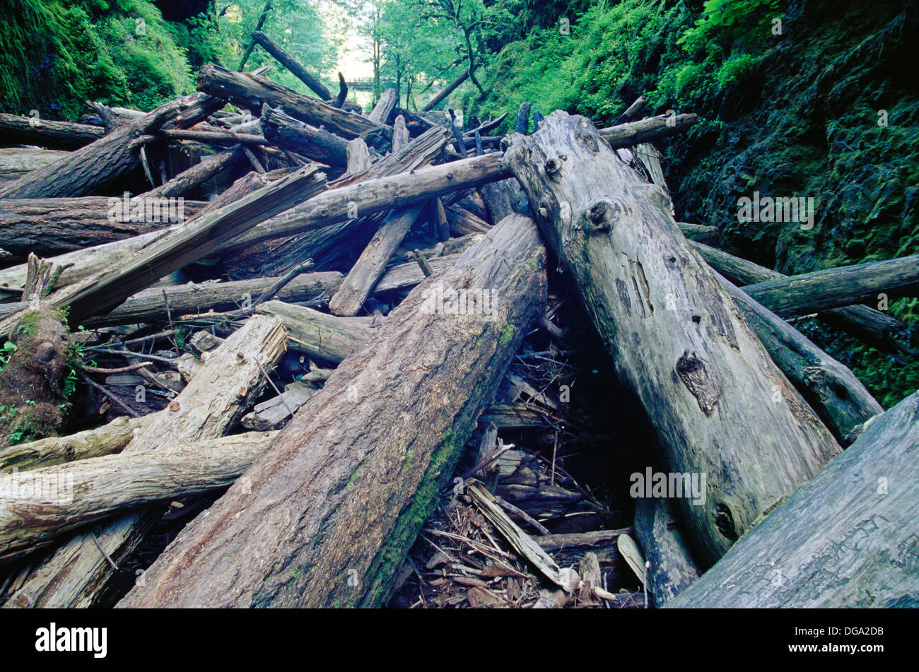 Hickers hi-res stock photography and images - Alamy