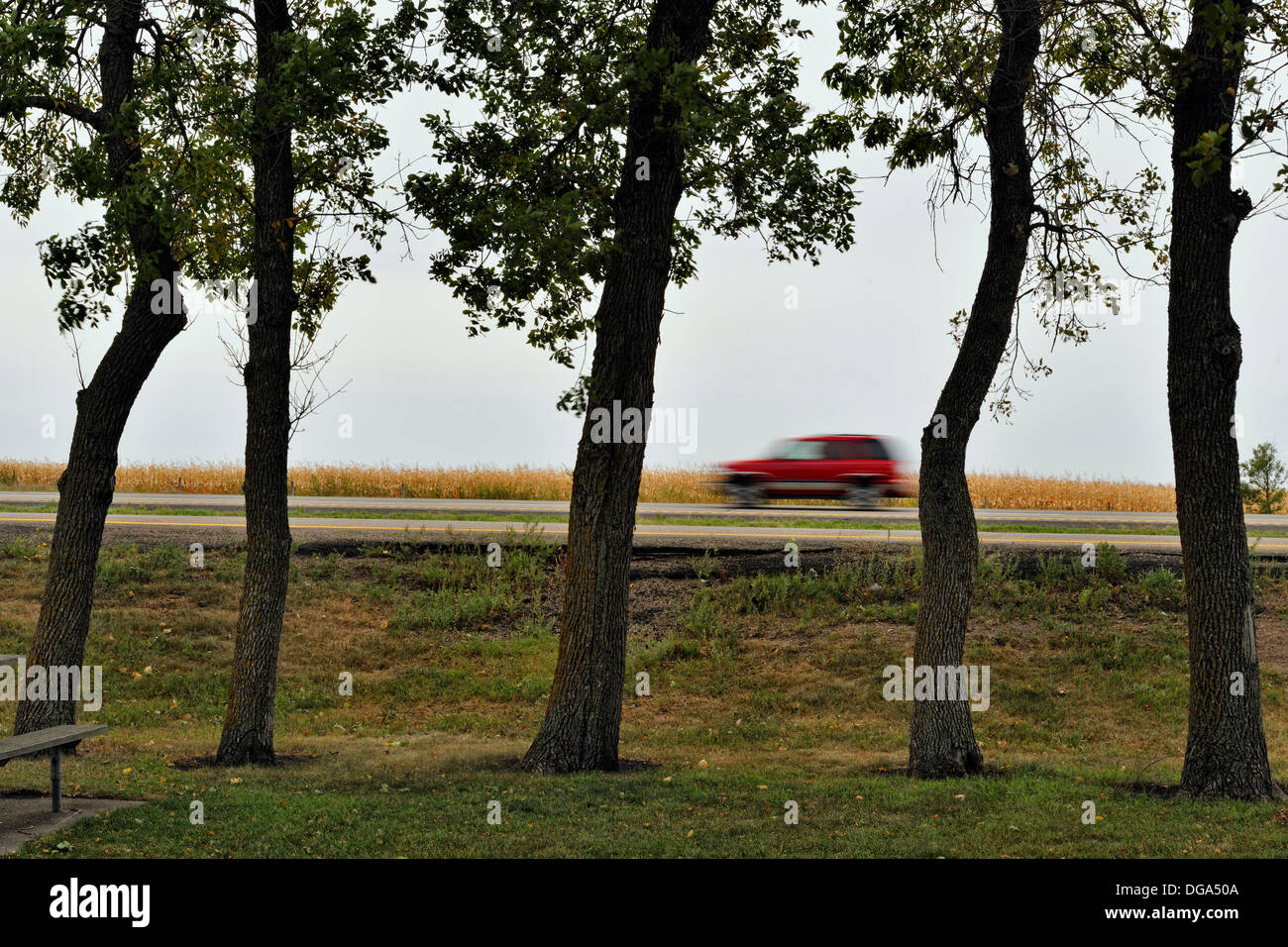 Oak trees in a rest area with passing vehicle on the Interstate Highway ...