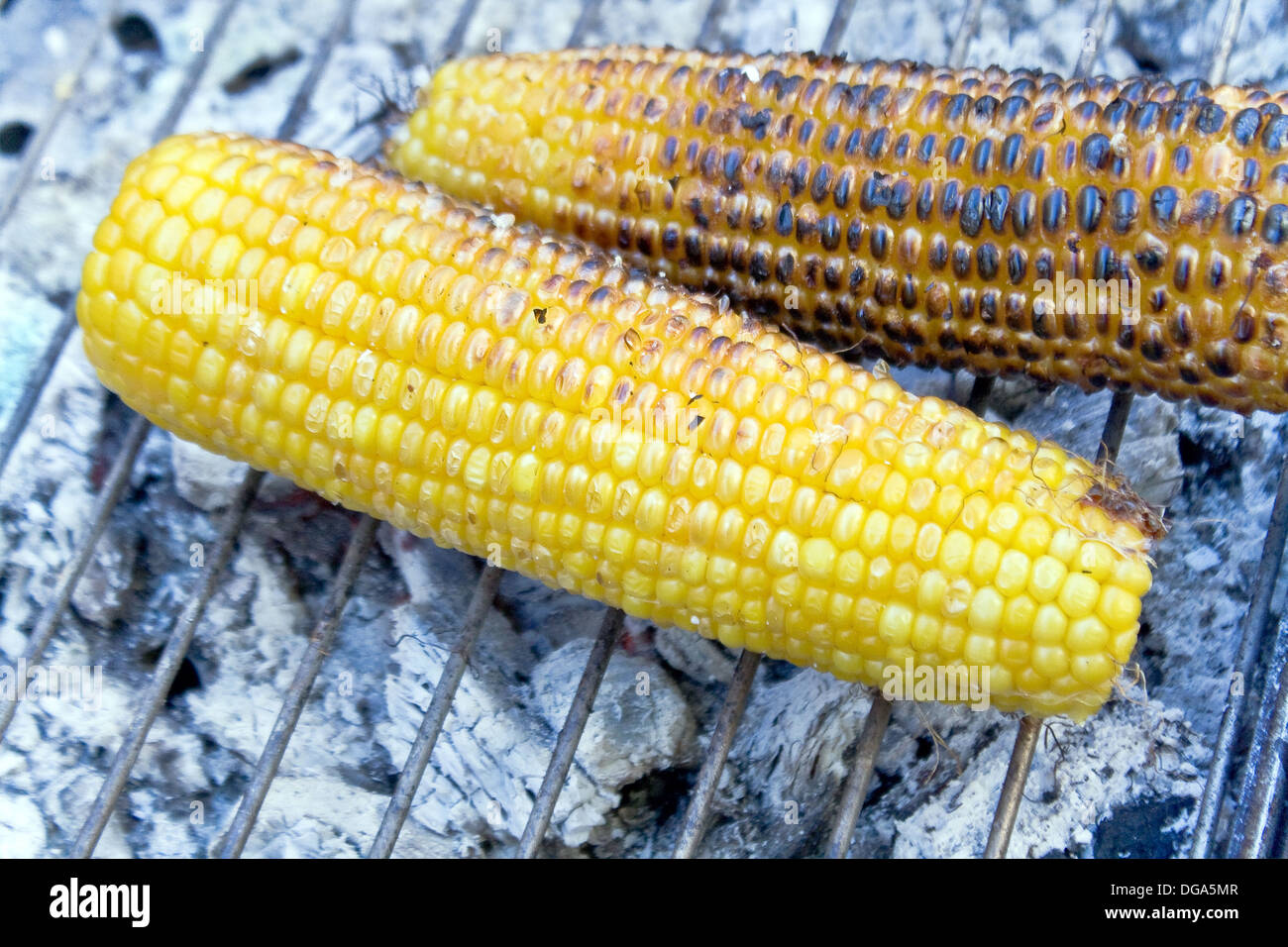 Corn roasting barbecue on coal fire Stock Photo - Alamy