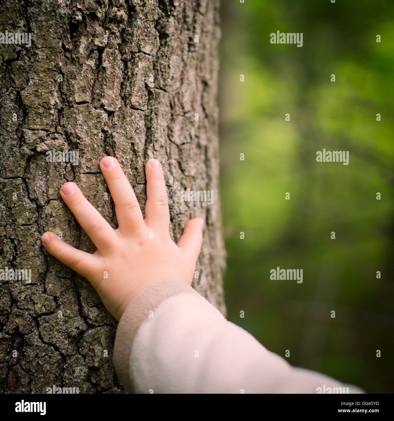 Boy touching tree hi-res stock photography and images - Alamy