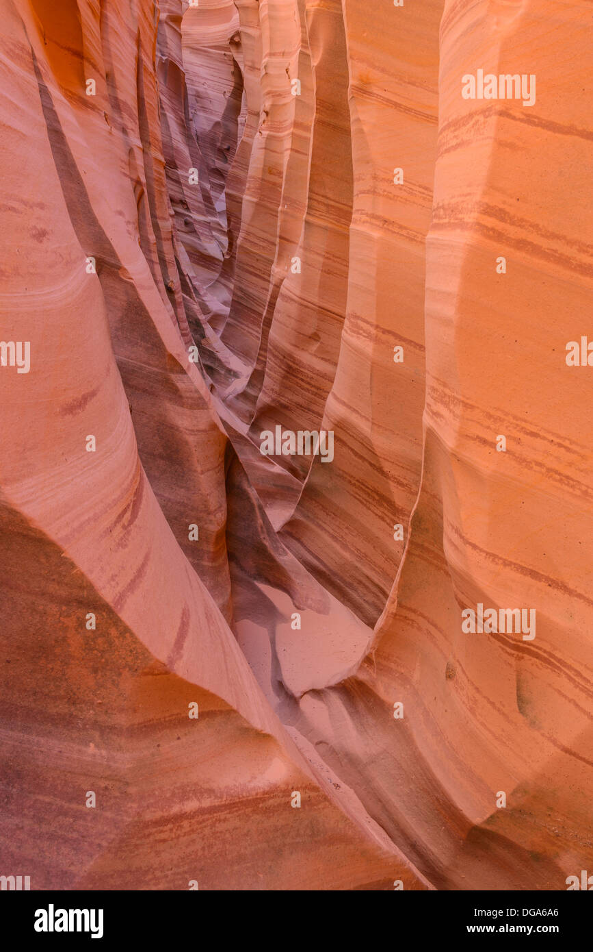 Zebra slot canyon, Grand Staircase Escalante National Monument, Utah ...
