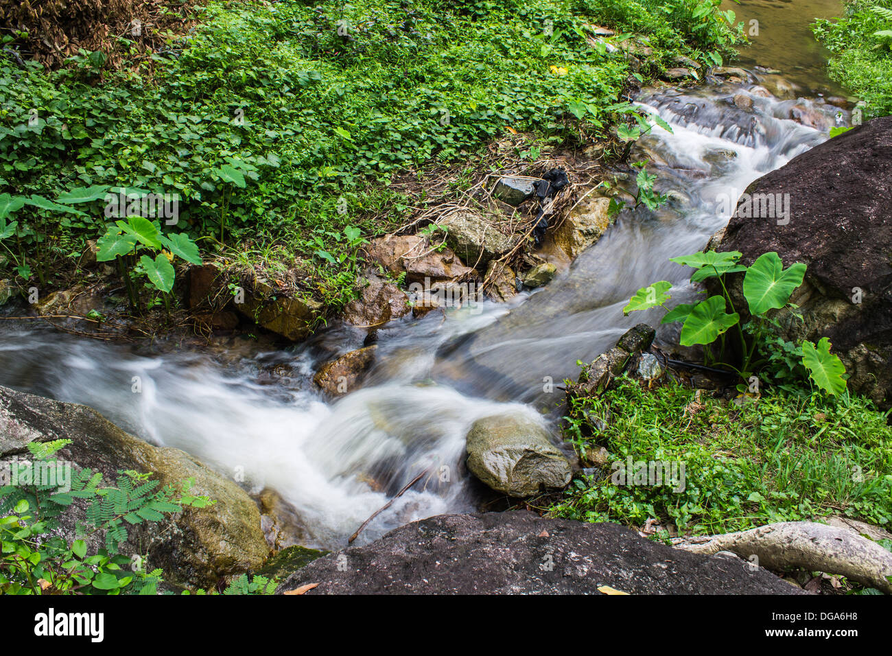 Cataract in hauykeaw waterfall , Doi Suthep-Pui Nationnal Park ...
