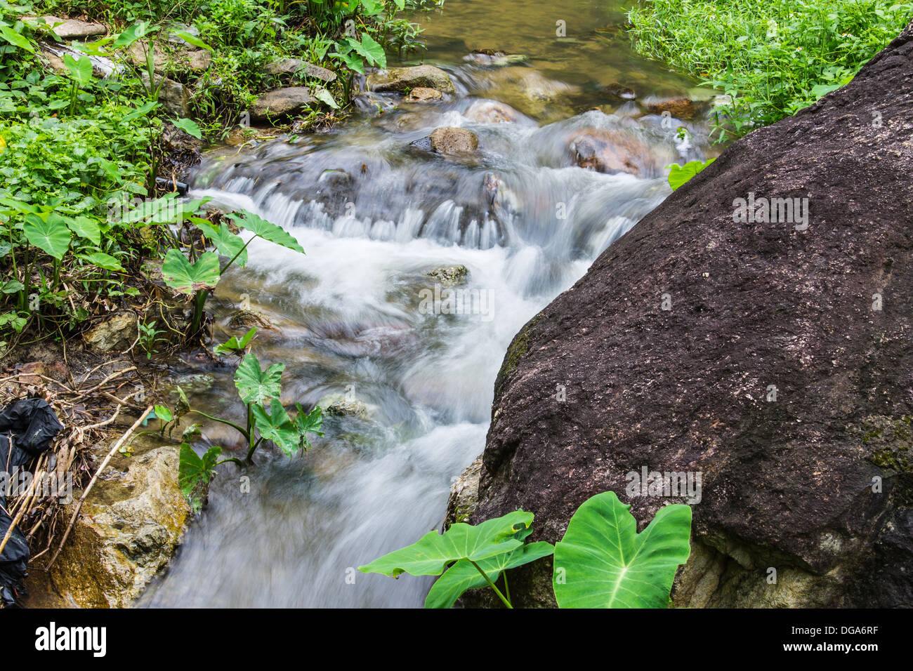 Cataract in hauykeaw waterfall , Doi Suthep-Pui Nationnal Park ...