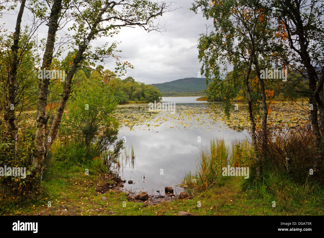 A view of Loch Kinord on the Muir of Dinnet National Nature Reserve ...