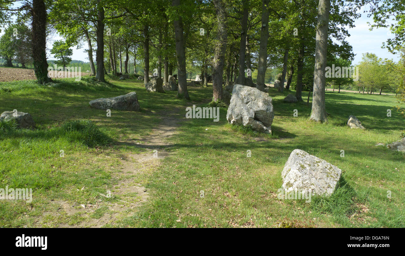Neolithic stone avenue Pleslin, Brittany, France Stock Photo - Alamy