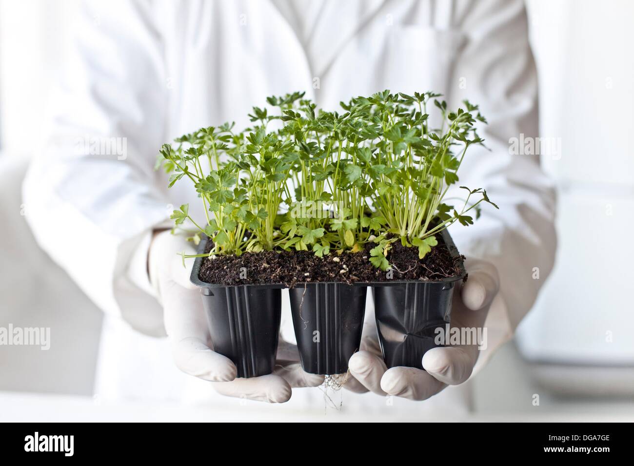 Biogenetic hi-res stock photography and images - Alamy