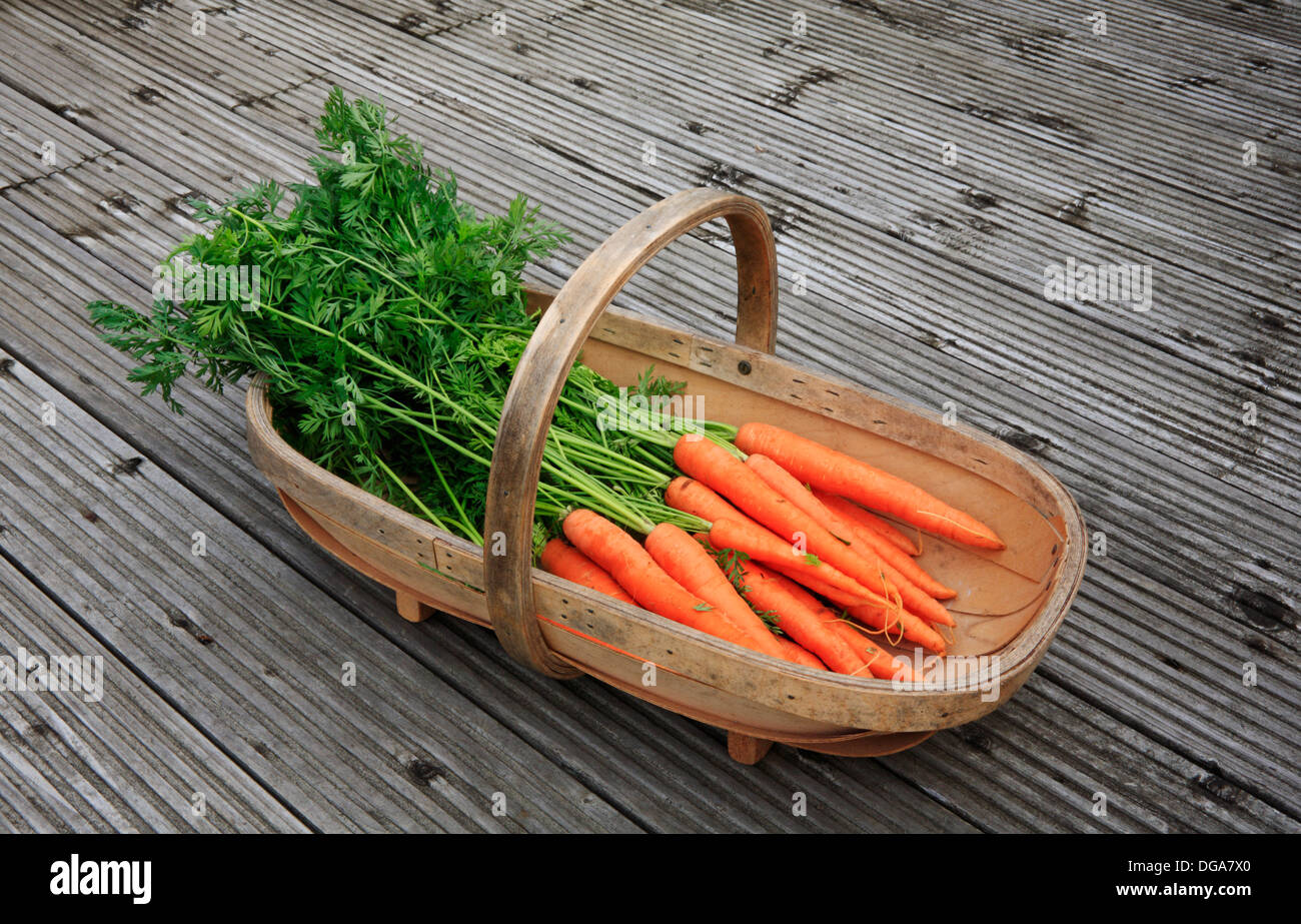 Pulled carrots hi-res stock photography and images - Alamy