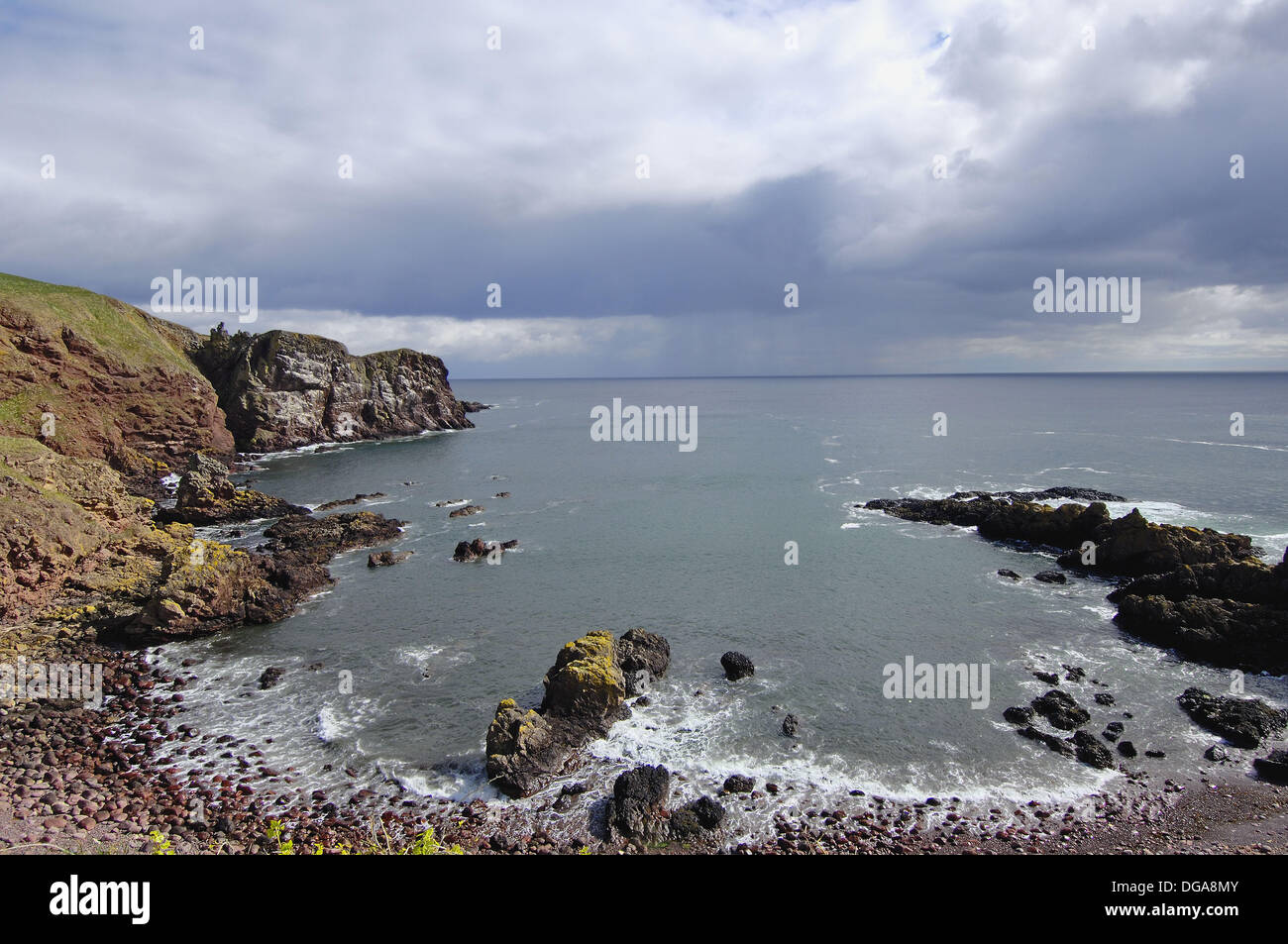 St Abb´s Head Cliffs. Birds sanctuary. Scottish Borders. Scotland. U.k ...