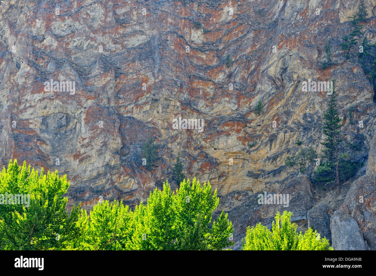 Garnet mineral formations limestone and cottonwoods near Bearmouth Pass ...