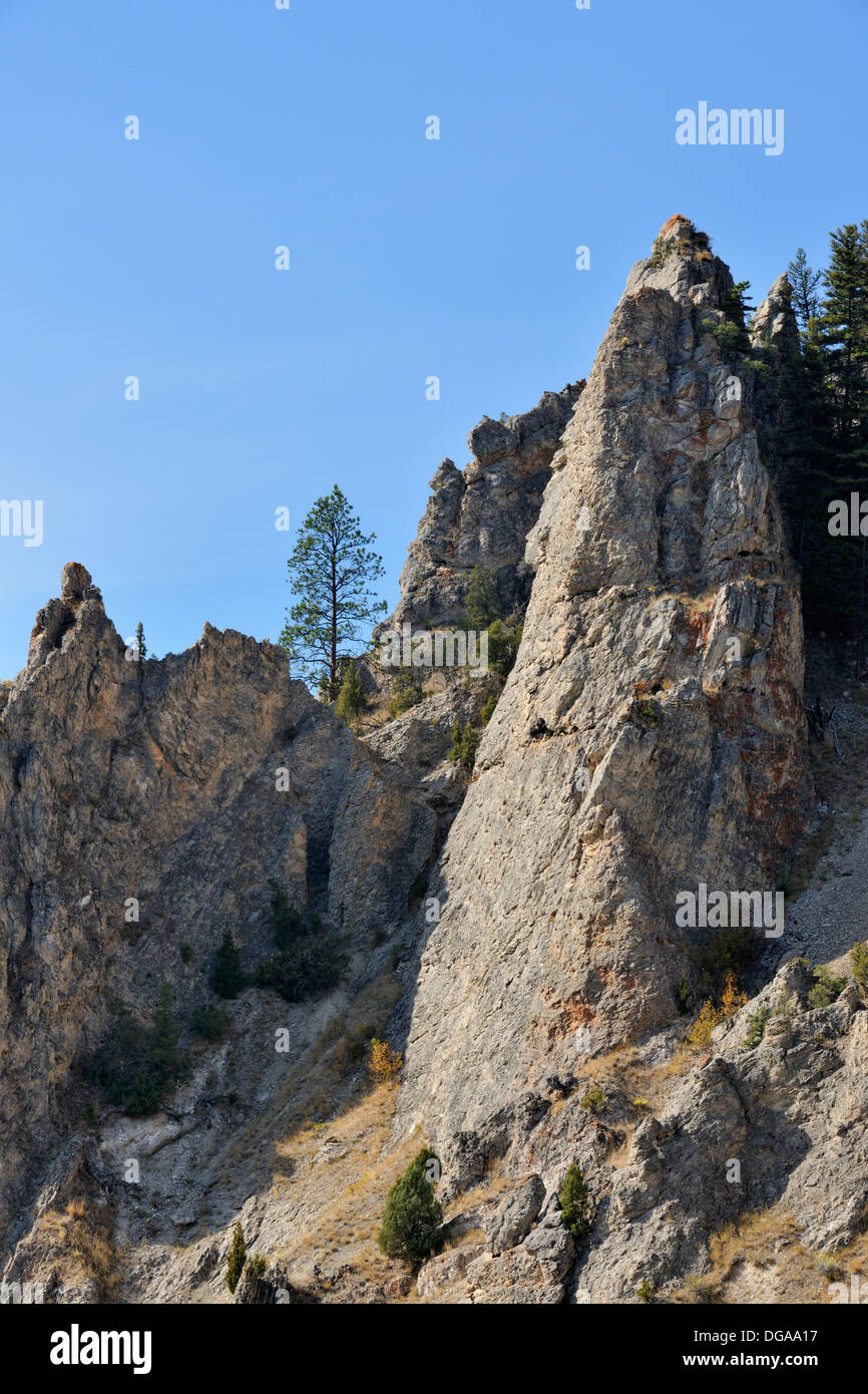 Plant of limestone areas hi-res stock photography and images - Alamy