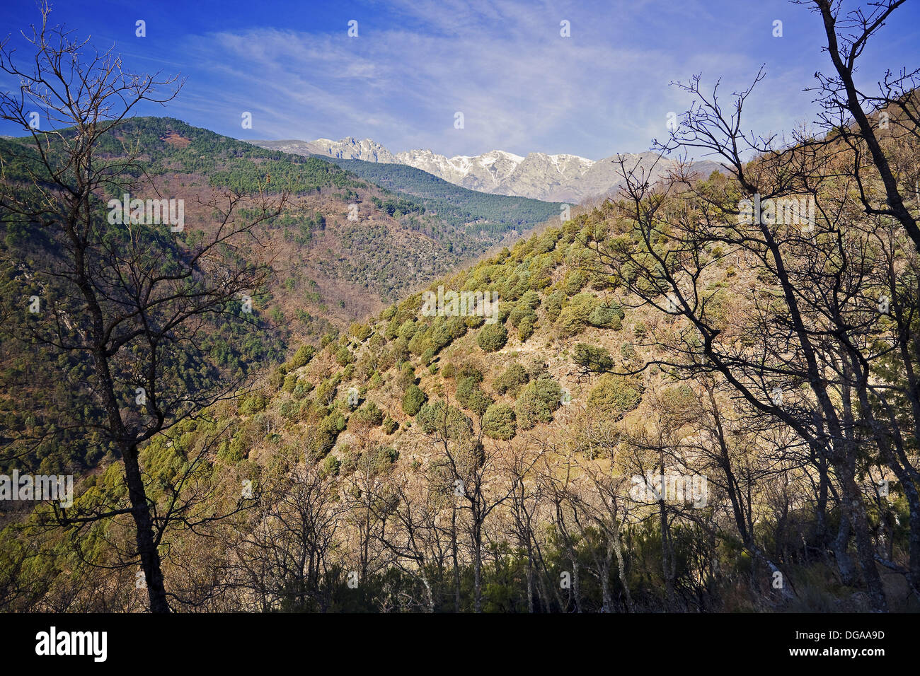 Candeleda hi-res stock photography and images - Alamy