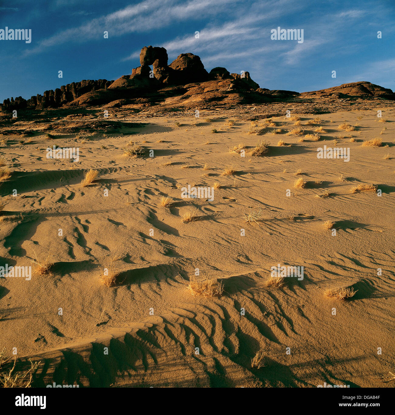 Tenere desert hi-res stock photography and images - Alamy