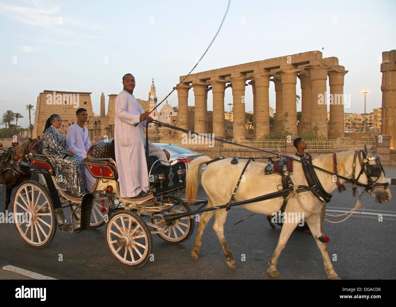 Caleche Horse Carriage In Luxor Egypt High Resolution Stock Photography ...