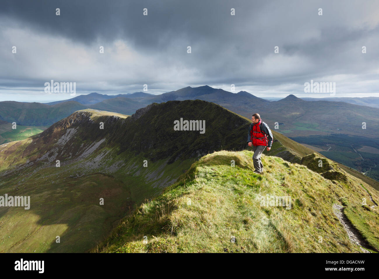 Hillwalker on Trum y Ddysgl, part of the Nantlle Ridge walk. Snowdonia ...