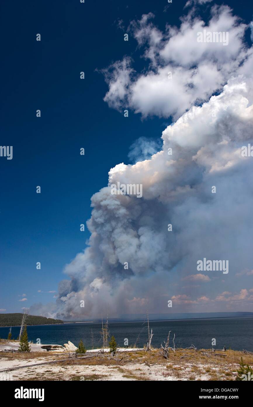 Yellowstone forest fires hi-res stock photography and images - Alamy