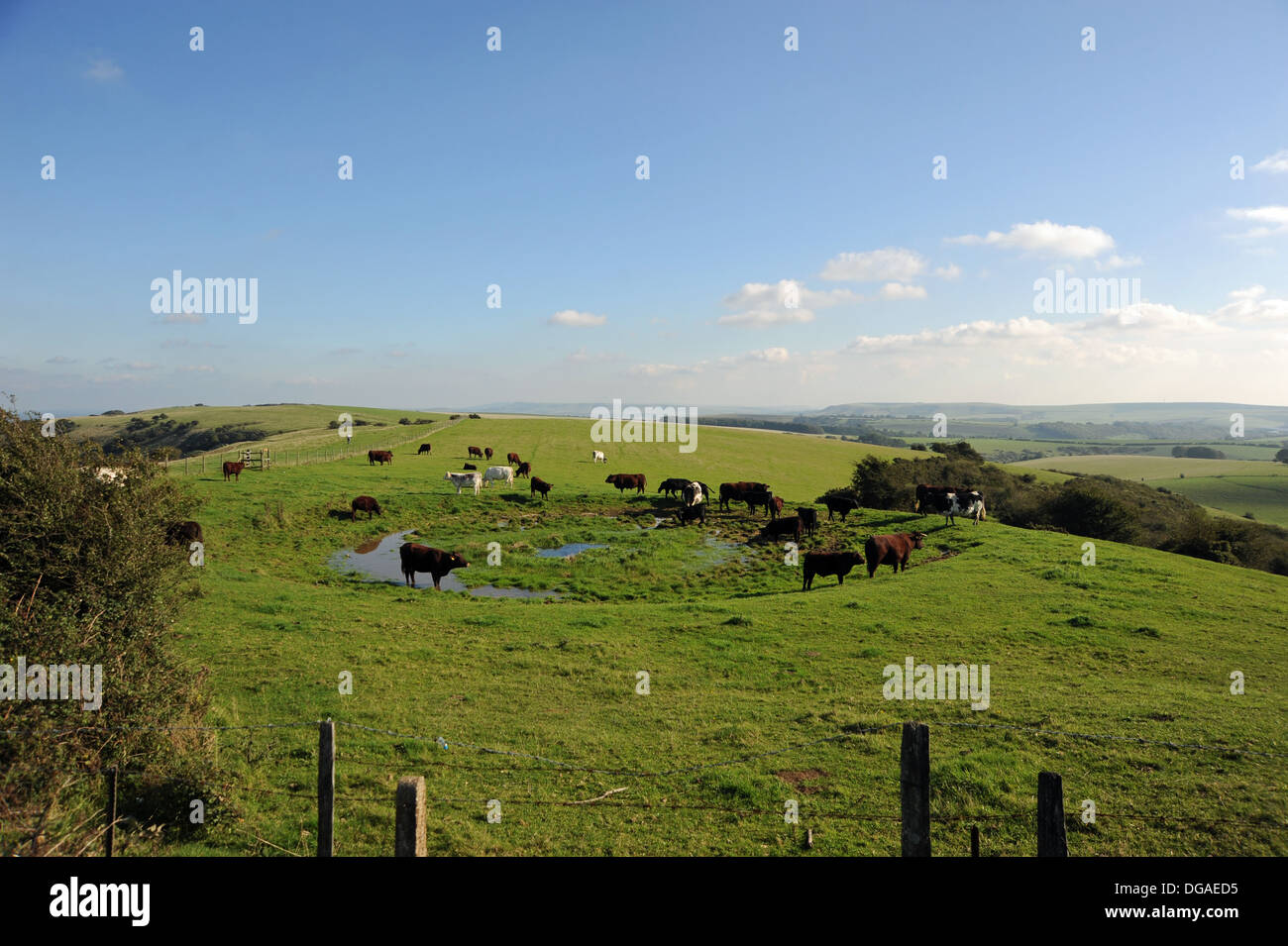 Ditchling beacon dew pond hi-res stock photography and images - Alamy