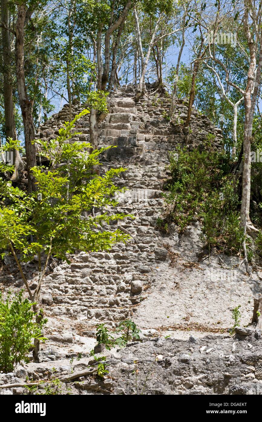 El Mirador Pyramid High Resolution Stock Photography and Images - Alamy