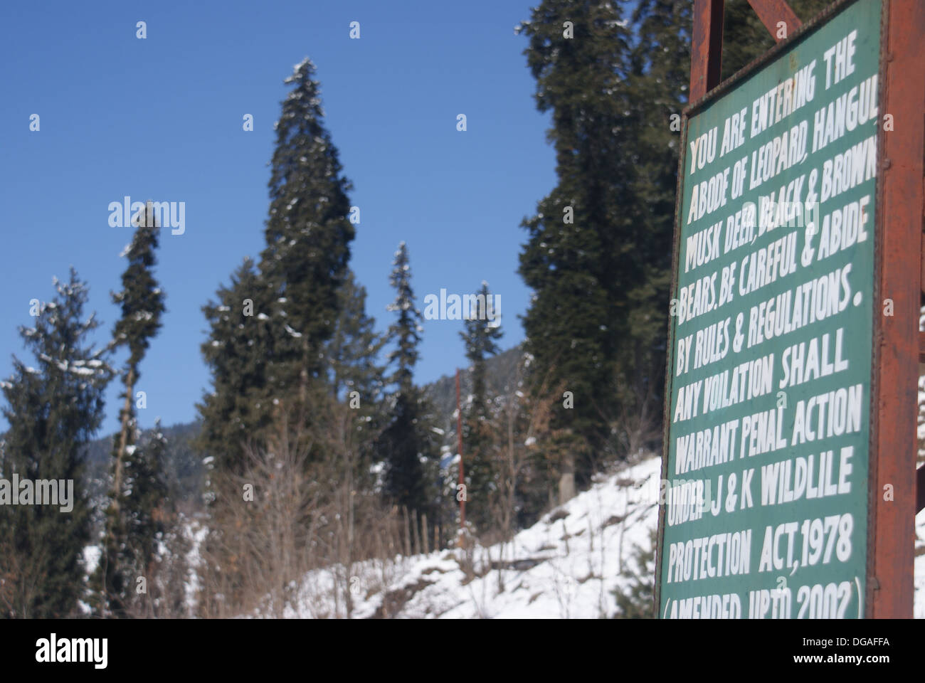Sign and trees in Pahalgam, Kashmir, India Stock Photo - Alamy