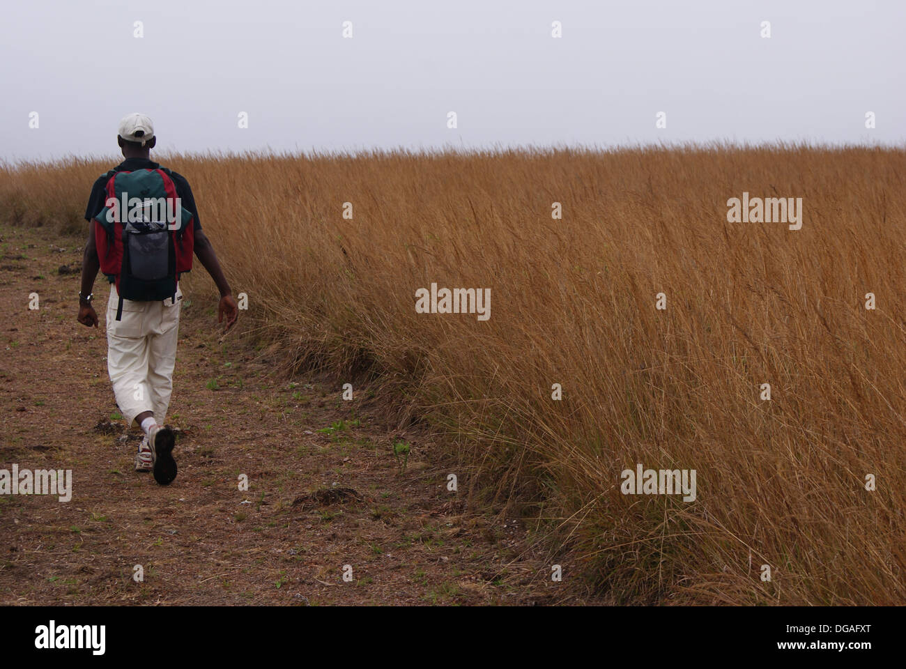 Fire break hi-res stock photography and images - Alamy
