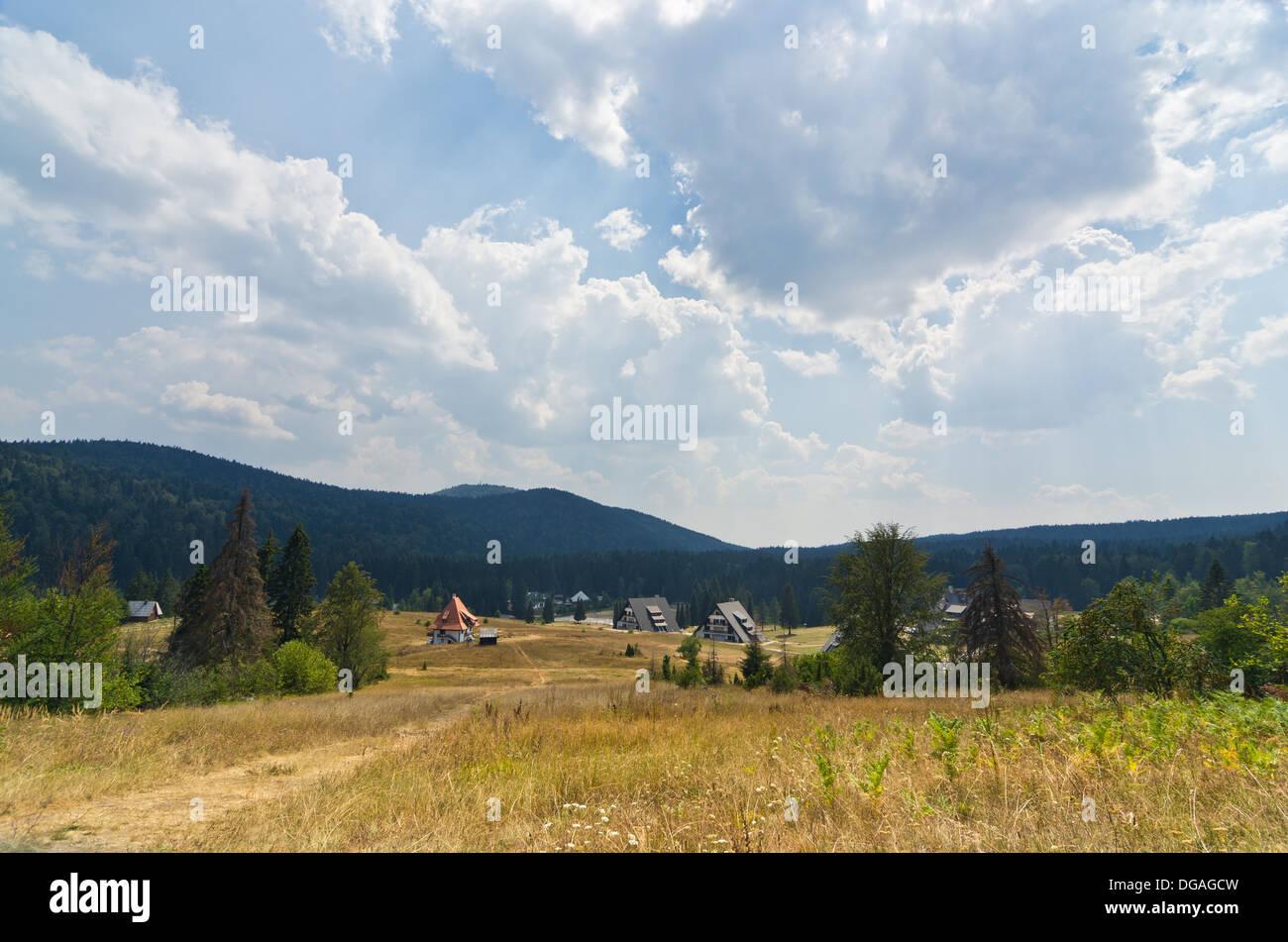 Mitrovac plateau at Tara mountain and national park Stock Photo - Alamy