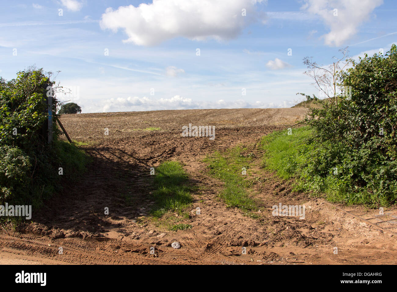 Gateway to farm hi-res stock photography and images - Alamy
