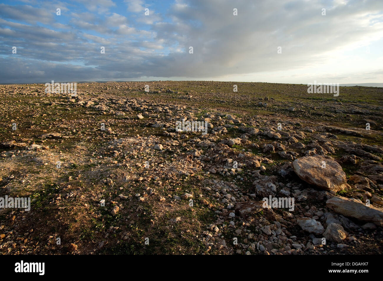 Dry landscape, Morocco, Africa Stock Photo - Alamy